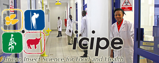 ICIPE Call for Application for DAAD PhD Scholarship Programme